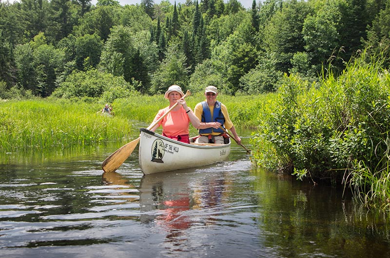 5 Day Canoe Trip - Algonquin Park Vacations | Call Of The Wild